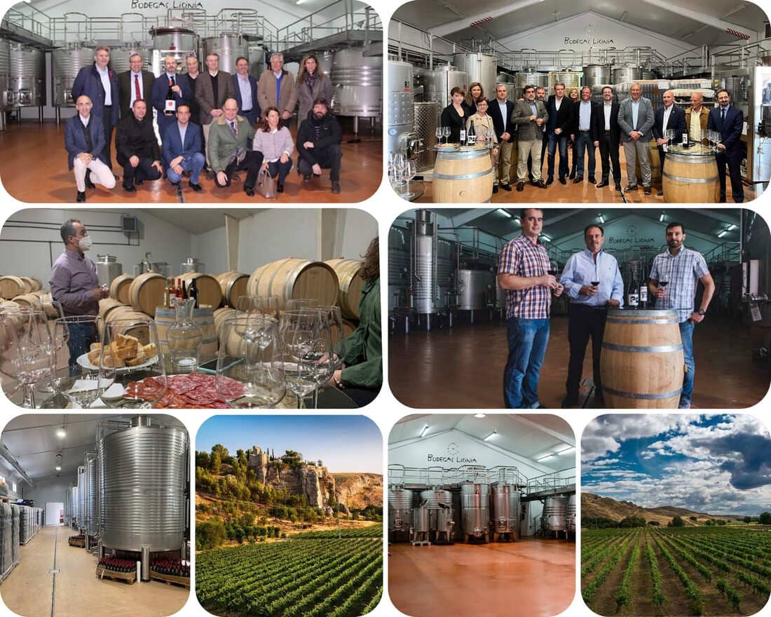 Enoturismo en Madrid, Bodegas Licinia.